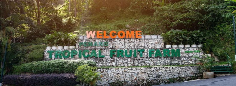 Penang: Tropical Fruit Farm Ticket - Who Should Visit?