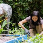 Penang: Tropical Spice Garden Entrance Ticket & Guided Tours - An Introduction to the Tropical Spice Garden Experience