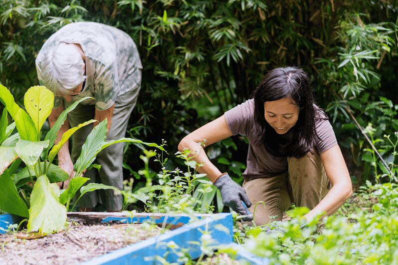 Penang: Tropical Spice Garden Entrance Ticket & Guided Tours - An Introduction to the Tropical Spice Garden Experience