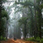 Pench National Park: Skip the Line Access to Jungle Safari - Who Should Consider This Tour?