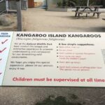 Penguin and Australian Animals Private Tour - Why the Tour Works