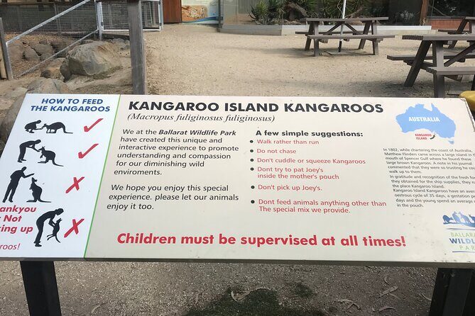 Penguin and Australian Animals Private Tour - Why the Tour Works