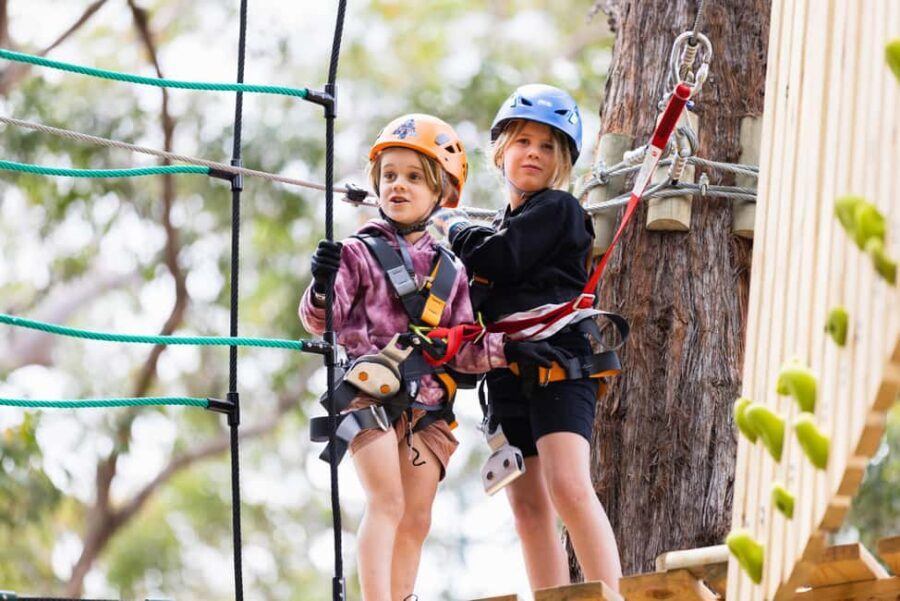 Pennant Hills: Junior Tree Ropes Course - Why This Experience Offers Real Value