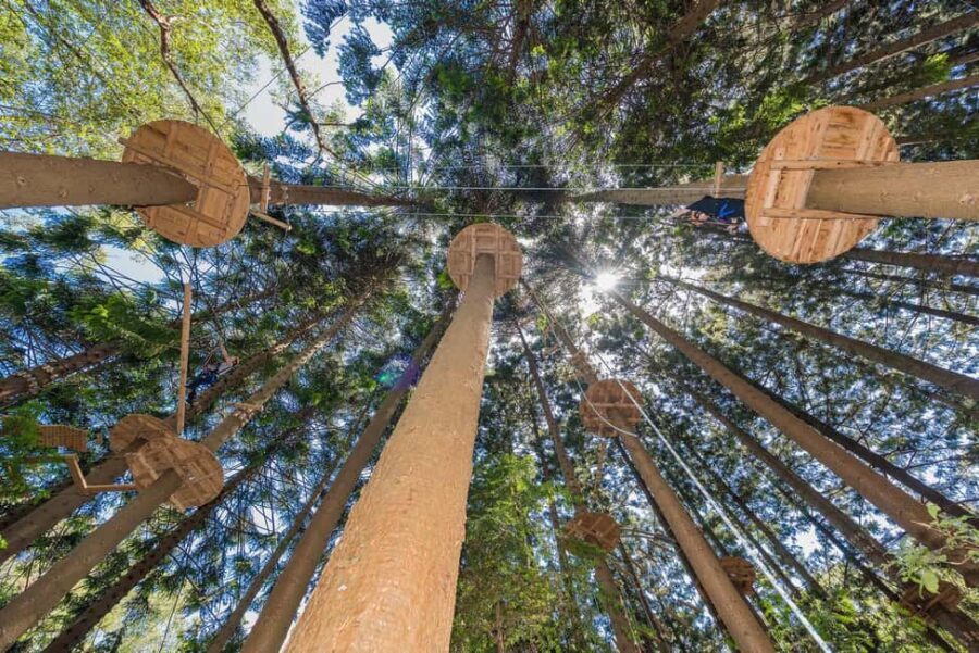 Pennant Hills: Tree Ropes Course Session - The Value of the Experience