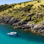 Penneshaw: Kangaroo Island Ultimate Adventure Tour - What’s Included and What to Bring