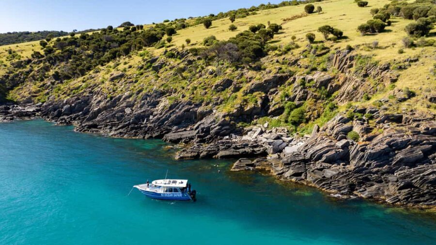 Penneshaw: Kangaroo Island Ultimate Adventure Tour - What’s Included and What to Bring
