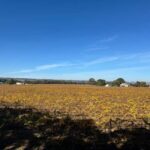 Personal Tours - An In-Depth Look at the Private Tour Experience