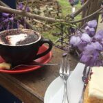 Personalised wine tour experience in the beautiful NSW Southern Highlands - What You Can Expect at Each Stop