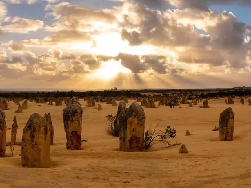 Perth: 7-Day Rottnest Island Tour Package with Accommodation - Is This Tour Worth the Price?