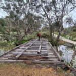 Perth: Bickley Valley Hiking Experience with Morning Tea - Why This Tour Is a Great Choice