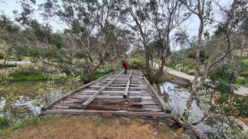 Perth: Bickley Valley Hiking Experience with Morning Tea - Why This Tour Is a Great Choice