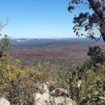 Perth: Darling Range Twin Peaks Hike with Morning Tea - What’s Included and What’s Not