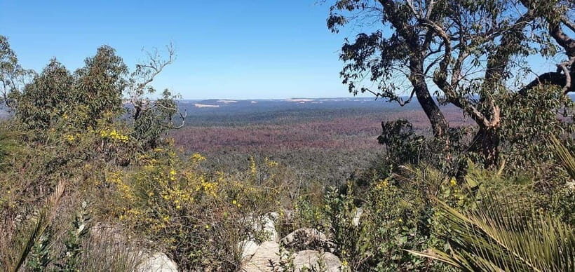 Perth: Darling Range Twin Peaks Hike with Morning Tea - What’s Included and What’s Not