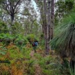 Perth: Dwellingup Train, Trails, and Woodfired Delights Tour - Why This Tour Offers Real Value
