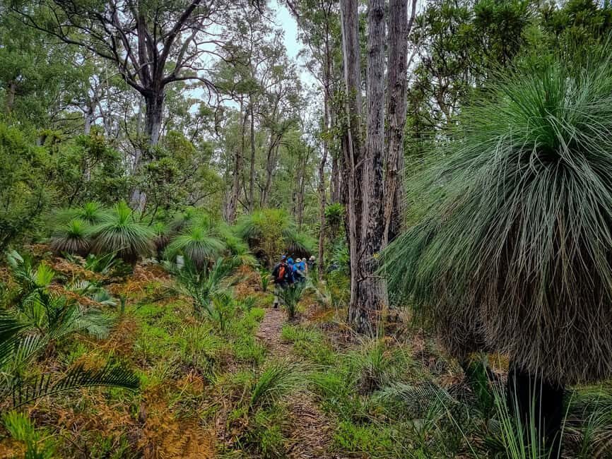 Perth: Dwellingup Train, Trails, and Woodfired Delights Tour - Why This Tour Offers Real Value