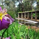 Perth Hills Explorer Private Day Tour - The Practical Aspects