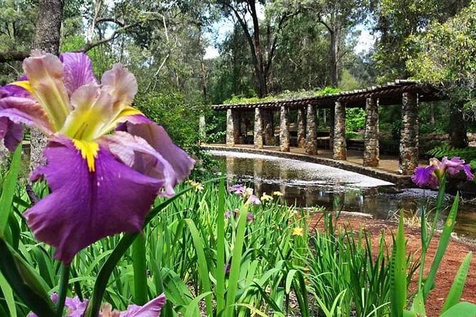 Perth Hills Explorer Private Day Tour - The Practical Aspects
