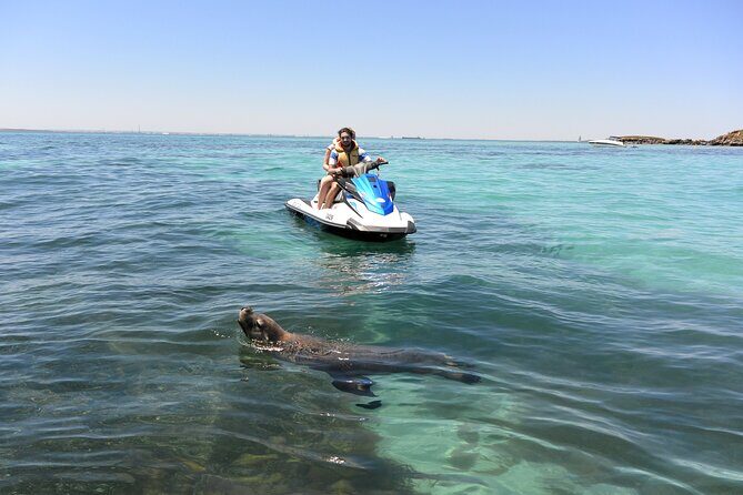 Perth Jet Ski Tour - Who Should Consider This Tour?