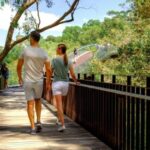 Perth: Kings Park Botanicals & Beyond Guided Hike - What to Expect: A Detailed Breakdown