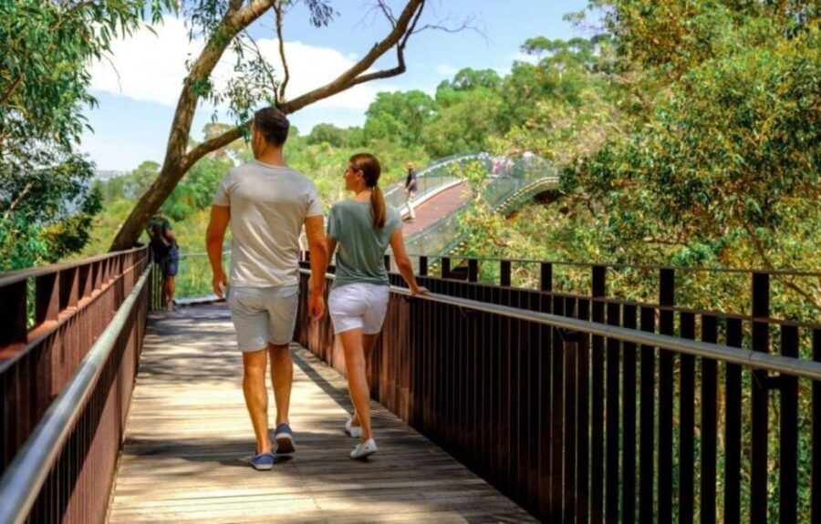 Perth: Kings Park Botanicals & Beyond Guided Hike - What to Expect: A Detailed Breakdown