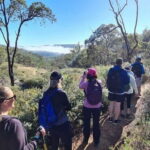Perth: Perth Hills Hike, Wine & Dine - The Lunch & Cider Experience