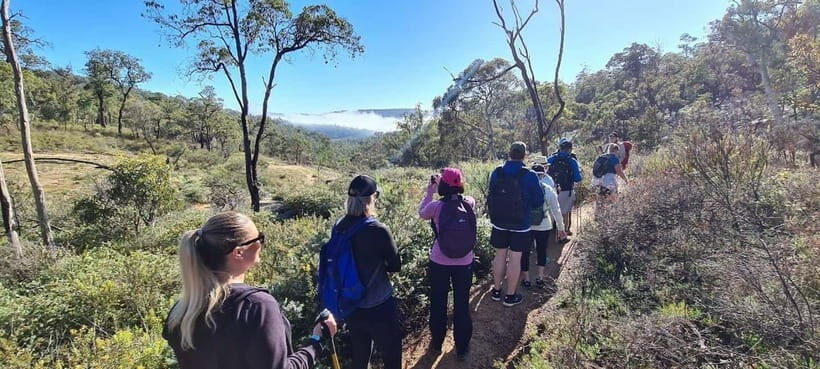 Perth: Perth Hills Hike, Wine & Dine - The Lunch & Cider Experience