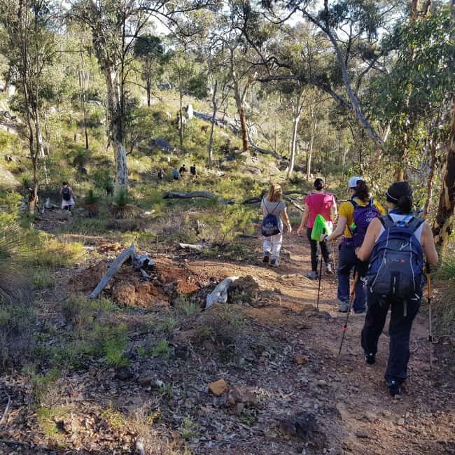 Perth: Piesse Brook Endurance Hike - Analyzing the Value
