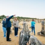 Perth: Pinnacles Desert Sunset and Stargazing with Dinner - Transport, Duration, and Value