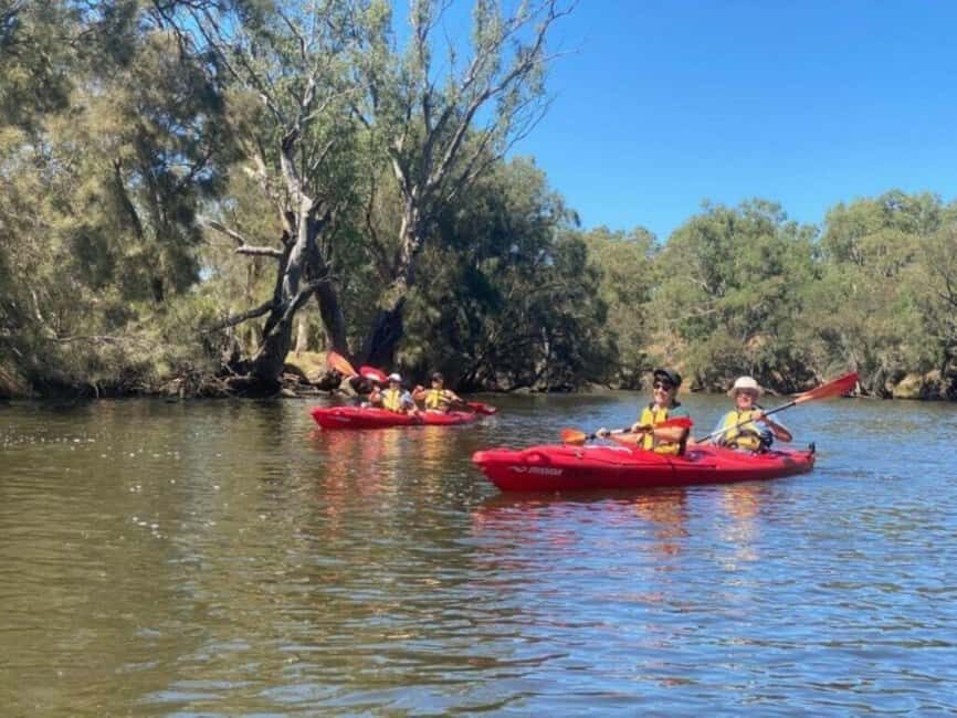 Perth: Swan River Kayak, Wine & Dine Experience - Practicalities and Value