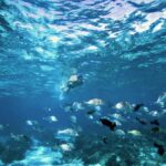 Perth to Exmouth with Monkey Mia & Ningaloo Reef - FAQ