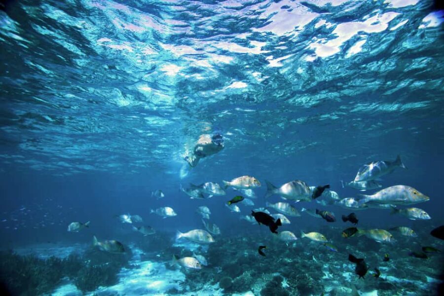 Perth to Exmouth with Monkey Mia & Ningaloo Reef - FAQ