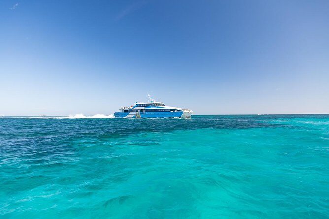 Perth to Rottnest Island Roundtrip Ferry Ticket - What the Reviews Tell Us
