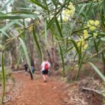 Perth: Waterfalls, Wildflowers & Wandoo Hiking Experience - An Authentic Experience for Nature Lovers