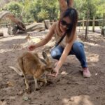 Perth Wildlife Park & City Highlights - Small Group Tours - Analyzing the Value: Is It Worth the Price?