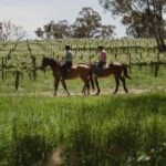 Petaluma: Horseback Riding and Wine Tasting Tour - What to Expect: The Itinerary in Detail