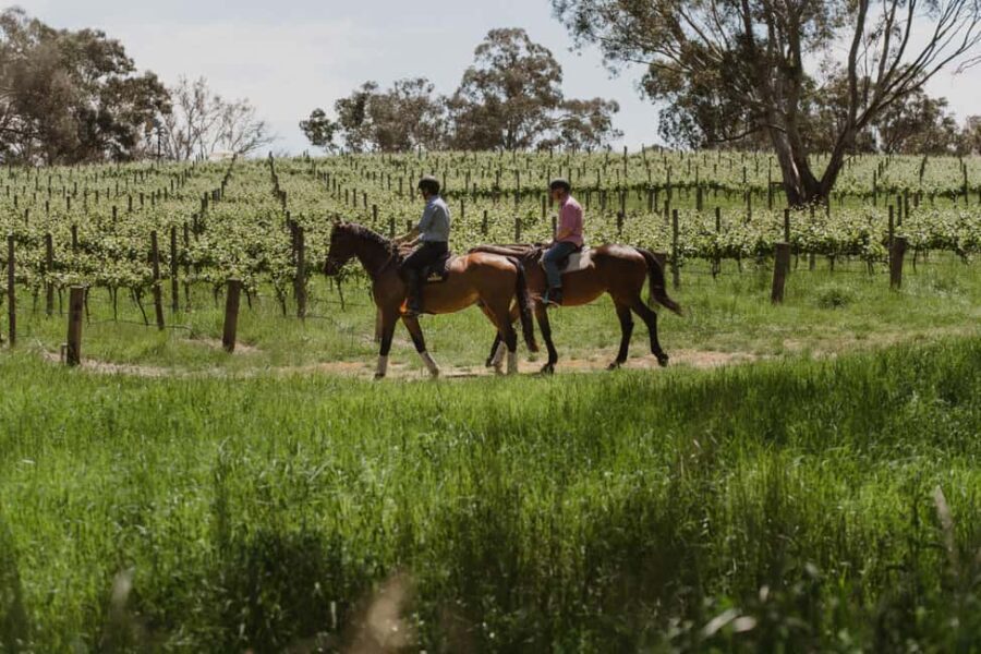 Petaluma: Horseback Riding and Wine Tasting Tour - What to Expect: The Itinerary in Detail