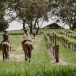 PETALUMA: VIP Equestrian & Private Wine Lunch with Olympian - The Private Wine Lunch: A Luxurious Retreat