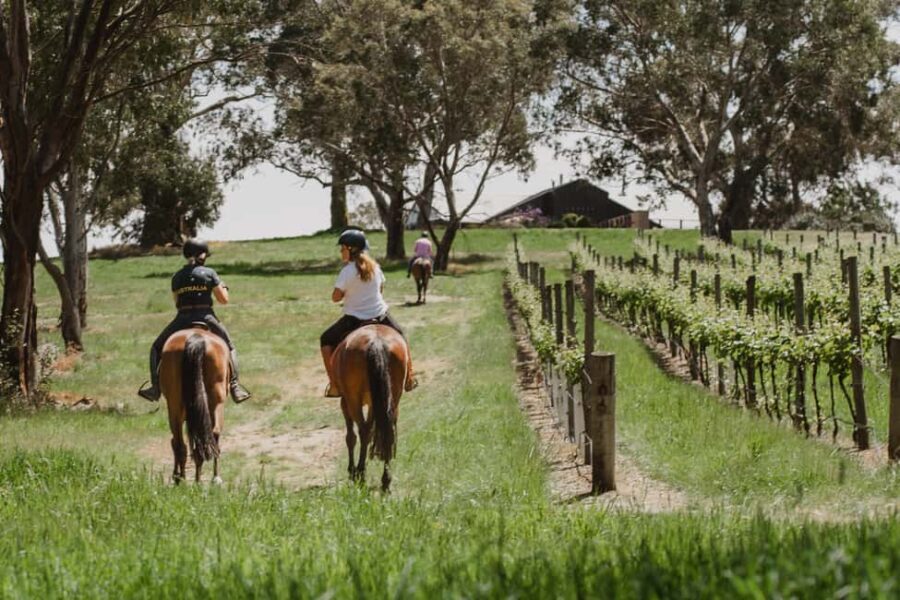 PETALUMA: VIP Equestrian & Private Wine Lunch with Olympian - The Private Wine Lunch: A Luxurious Retreat