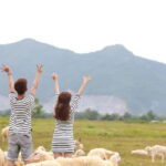 Phan Rang Full-Day: Hang Rai, Vinh Hy, Vineyard & Sheep Farm - Exploring the Itinerary in Detail