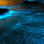 Phi Phi & 4 Islands Sunset tour + Bioluminescent Planktons - Exploring the Islands: Highlights and What to Expect