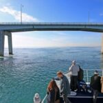 Phillip Island: 1-Hour Cape Woolamai Scenic Cruise - Practical Tips for Your Cruise