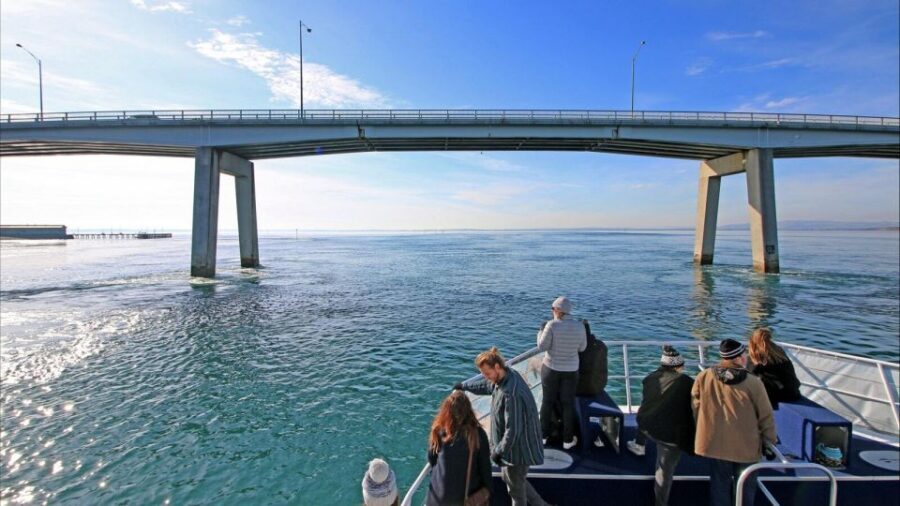 Phillip Island: 1-Hour Cape Woolamai Scenic Cruise - Practical Tips for Your Cruise