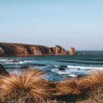 Phillip Island: Hike and Penguin Parade - 8 pax Small Tour - Authentic Experiences and Honest Feedback