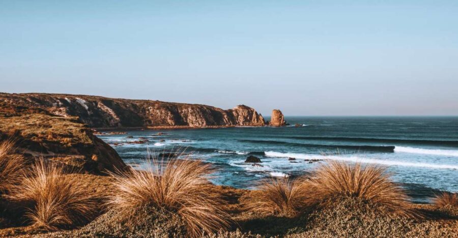 Phillip Island: Hike and Penguin Parade - 8 pax Small Tour - Authentic Experiences and Honest Feedback