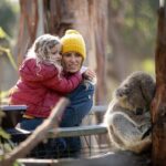 Phillip Island Penguin and Koala Highlights Day-Trip from Melbourne - The Real Experience: Insights from Travelers
