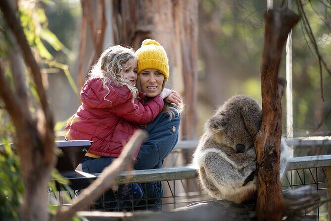 Phillip Island Penguin and Koala Highlights Day-Trip from Melbourne - The Real Experience: Insights from Travelers