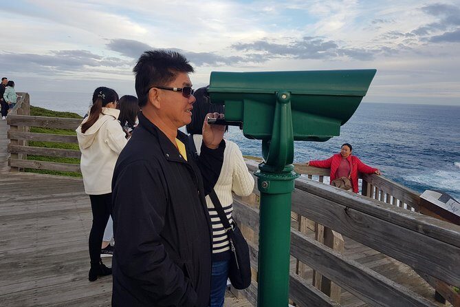 Phillip Island Private Experience - The Penguin Parade: The Day’s Highlight