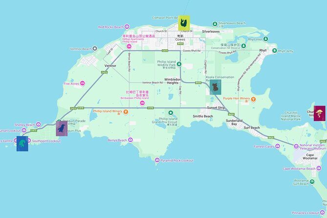 Phillip Island Private Tour: Penguin Parade & Wildlife Day - Overview of the Phillip Island Private Tour