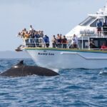 Phillip Island Whale Watching Tour - Who Will Love This Tour?