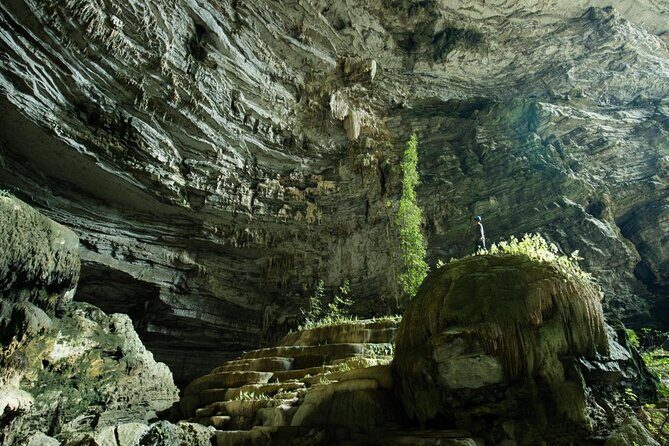 Phong Nha and Dark Cave 1 day tour - The Sum Up